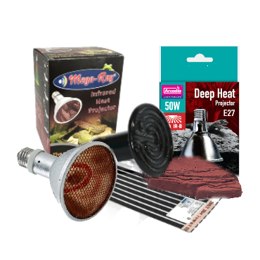 Insecto.nl - De online leverancier van levende voedseldieren ...