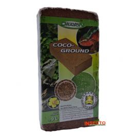 Insecto.nl - De online leverancier van levende voedseldieren - Dragon ...
